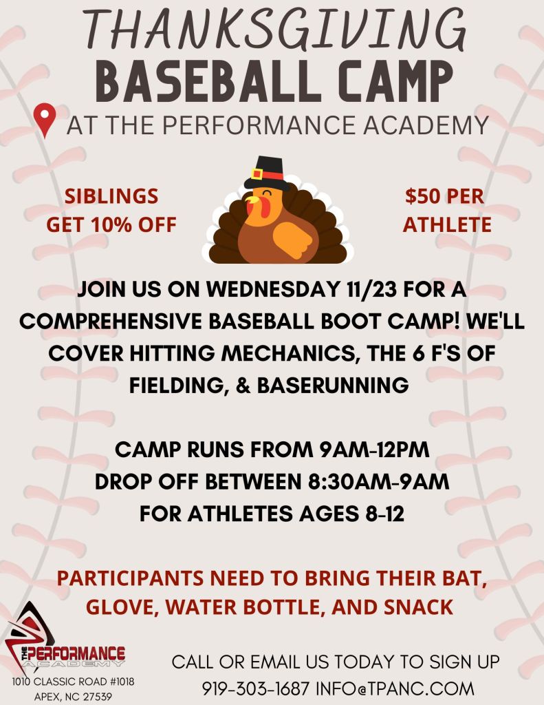 Thanksgiving Baseball Camp – The Performance Academy